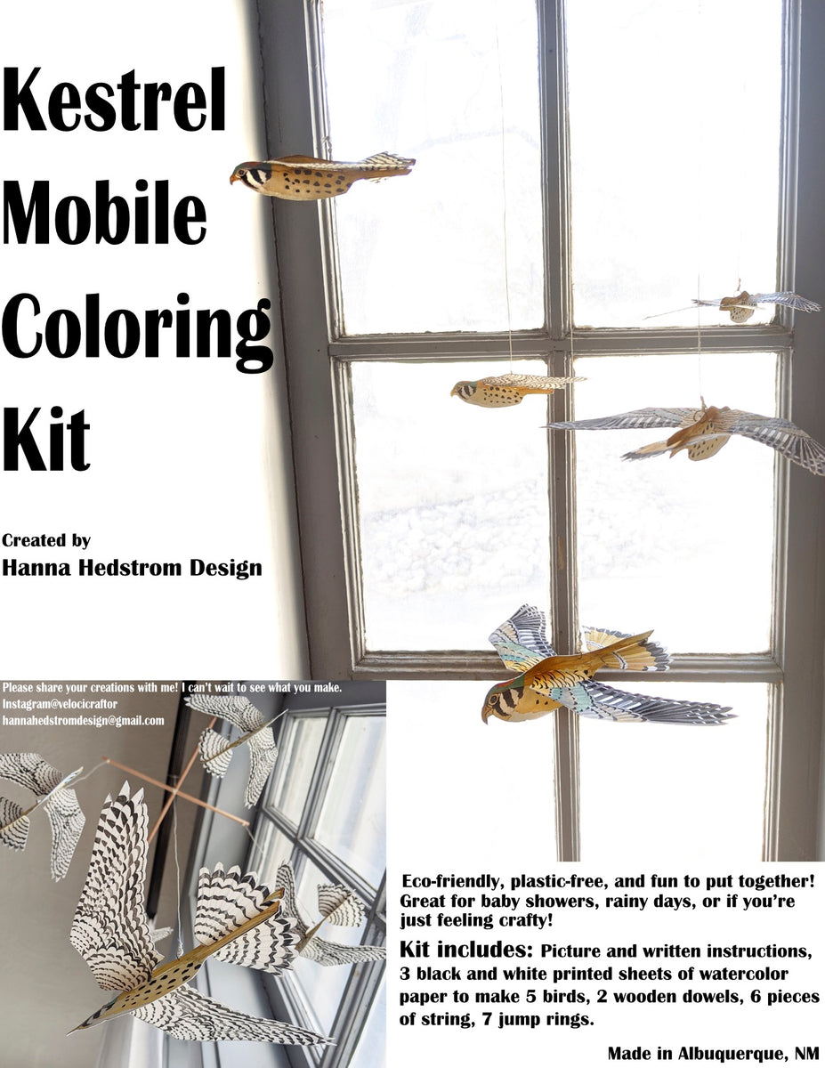 Digital Downloads – Hanna Hedstrom Design