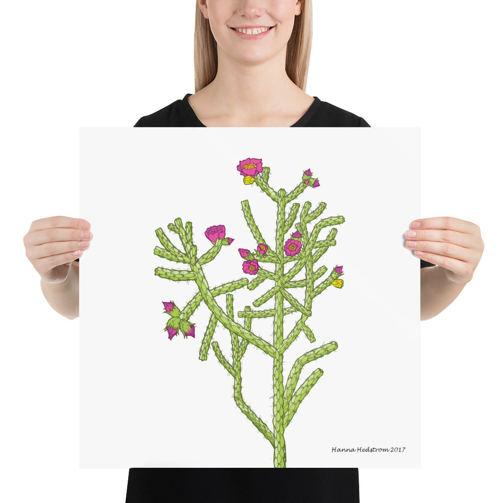 Cane Cholla Poster – Hanna Hedstrom Design
