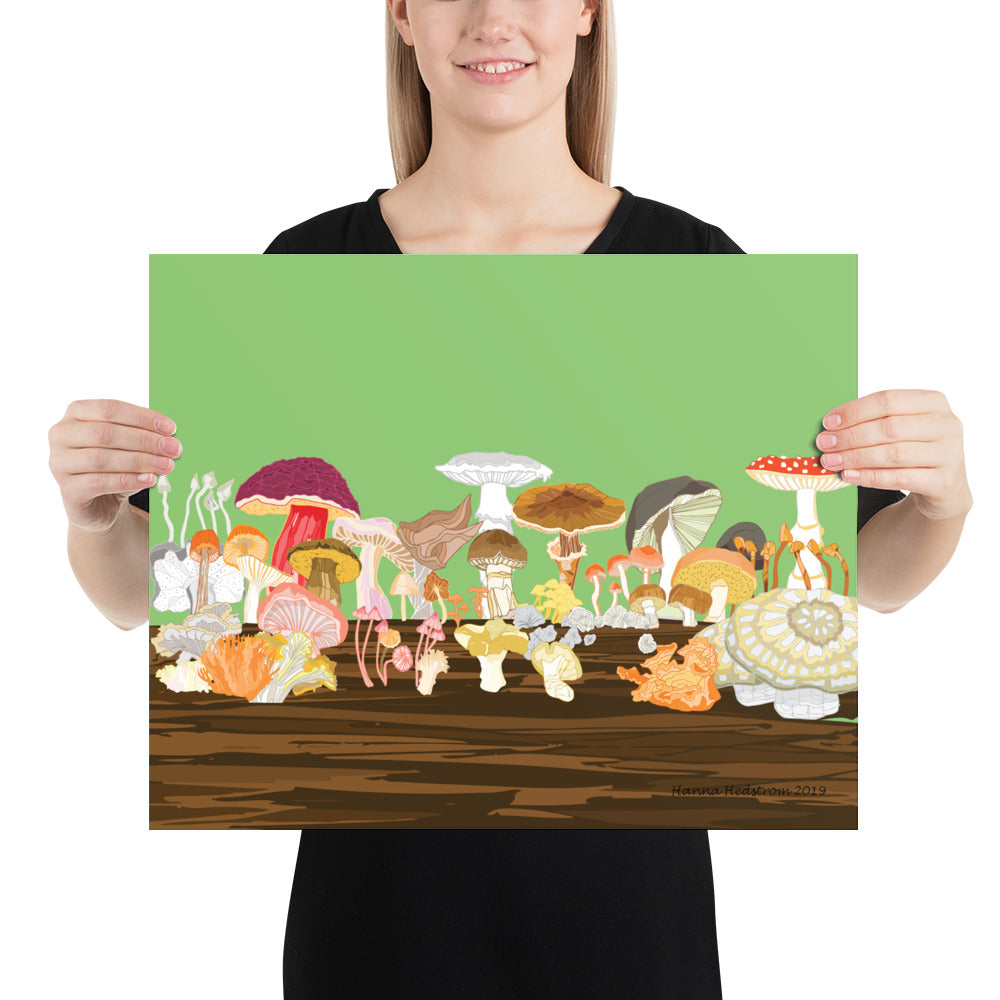 Mushrooms Poster – Hanna Hedstrom Design
