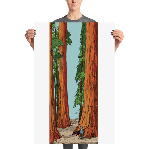 Sequoia Poster – Hanna Hedstrom Design